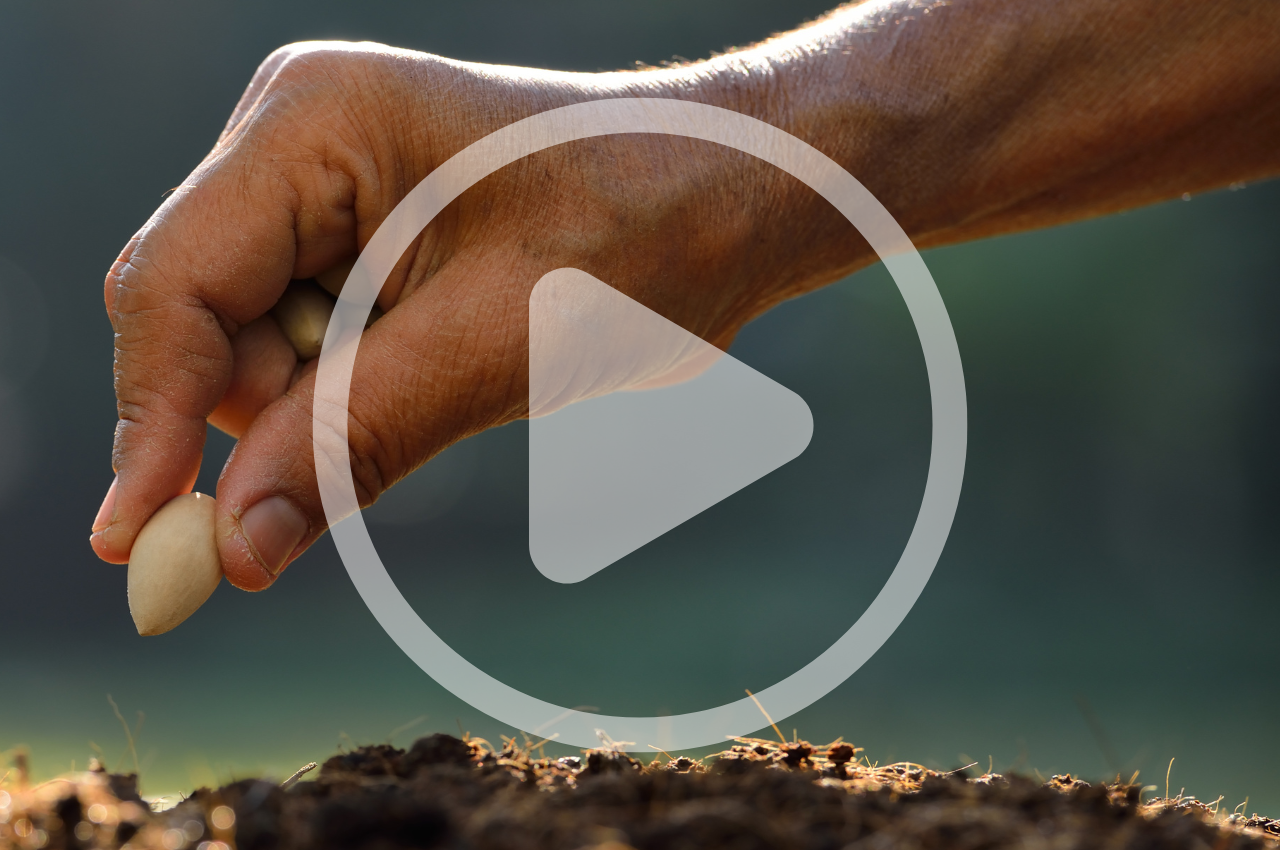 Sourcing Sustainable Seeds – Mother Earth News